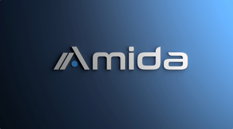 Solve Enterprise Data Management Challenges with Amida